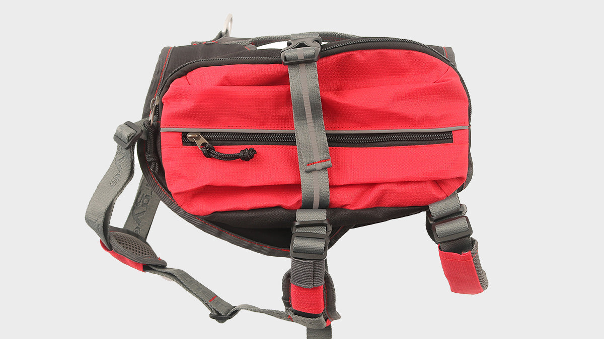 MAL Dog Backpack • iEnergy