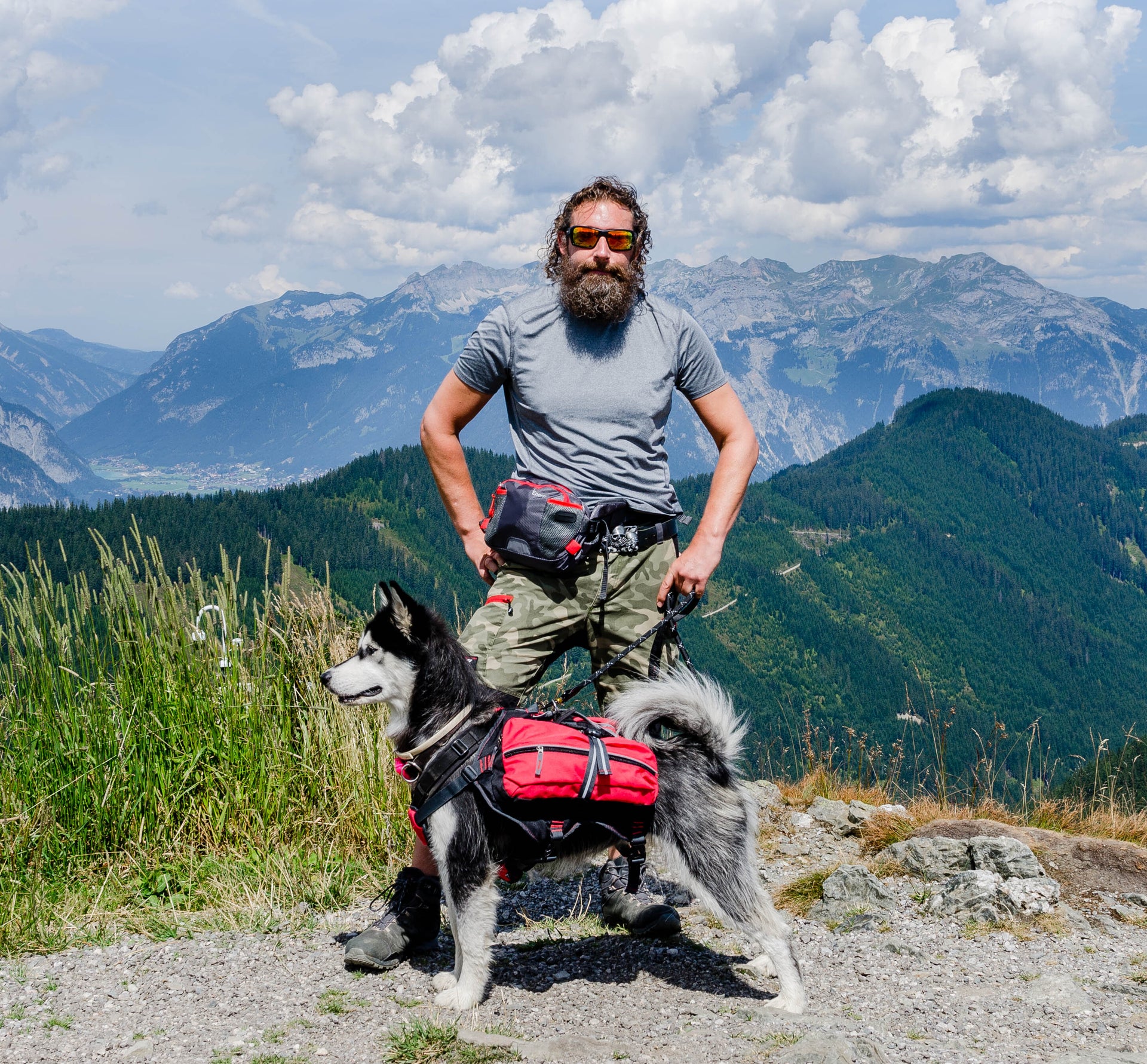 Pet Accessories for Adventurous Dogs & Owners • iEnergy